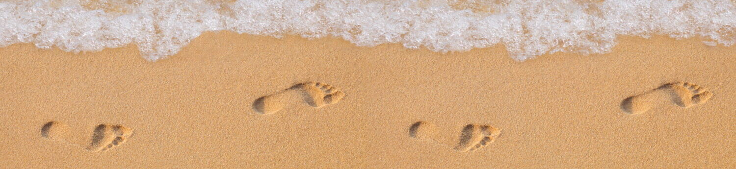 Impetus is making a commitment to minimize our environmental footprint ...